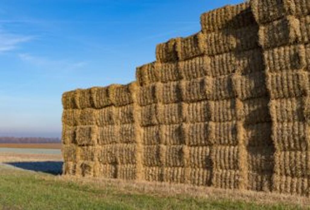 Build an Inexpensive Hay Shed - Countryside